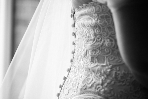 Pelee Island Winery Wedding ~ Alycia & Adam | Jillian Wilhelm Photography