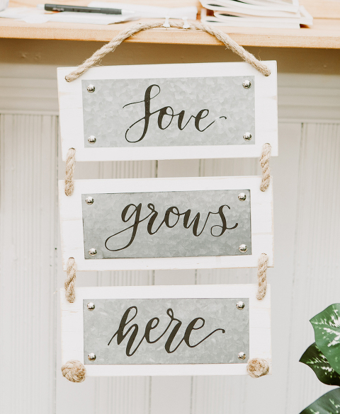 Pelee Island Winery Wedding ~ Alycia & Adam | Jillian Wilhelm Photography