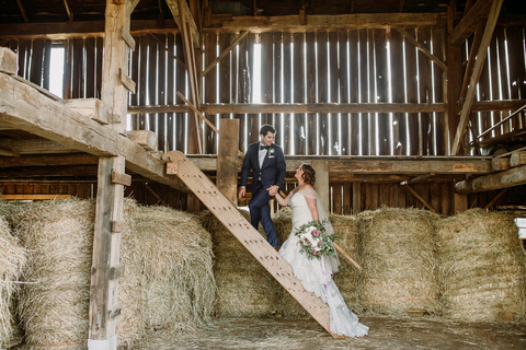 Pelee Island Winery Wedding ~ Alycia & Adam | Jillian Wilhelm Photography